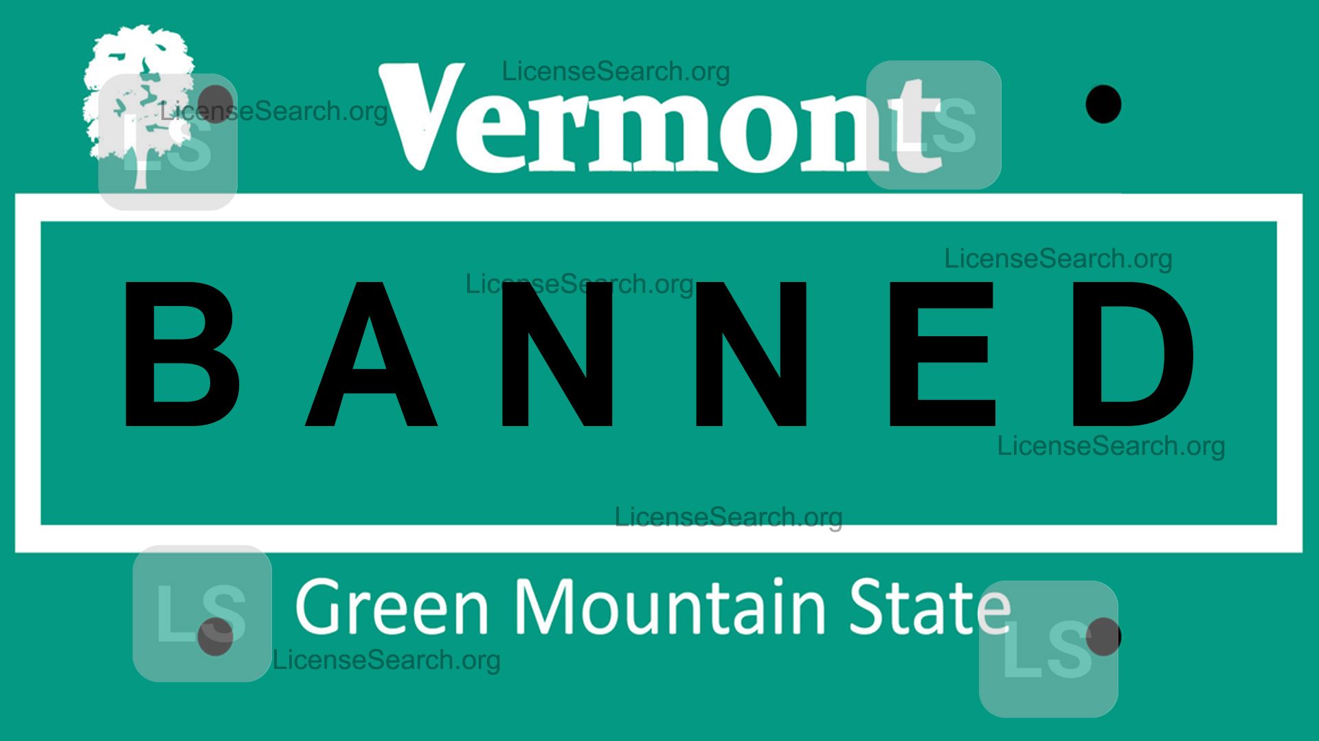 Vermont Banned License Plates | License Lookup